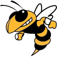EMMAUS CHEERLEADING – #GetStung